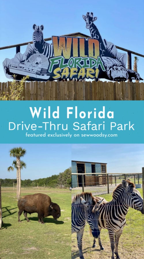 Wild Florida Drive-Thru Safari Park - Sew Woodsy